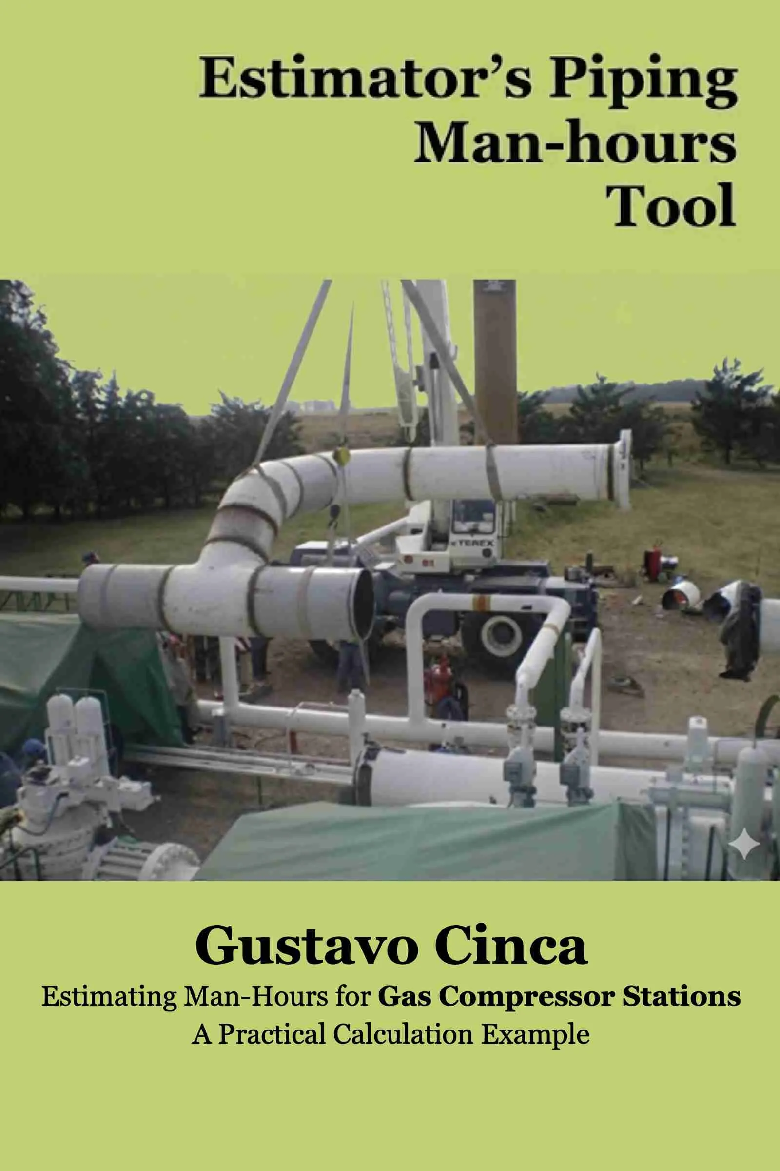 Industrial Piping & Bidding Manuals | Gustavo Cinca